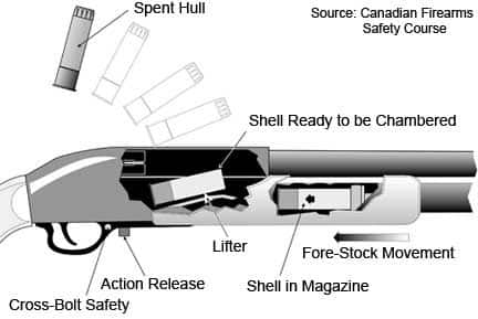 Rifle Actions, Types, Safety Tech and Tips