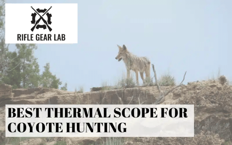 Best Thermal Scope For Coyote Hunting (Infrared Optics)