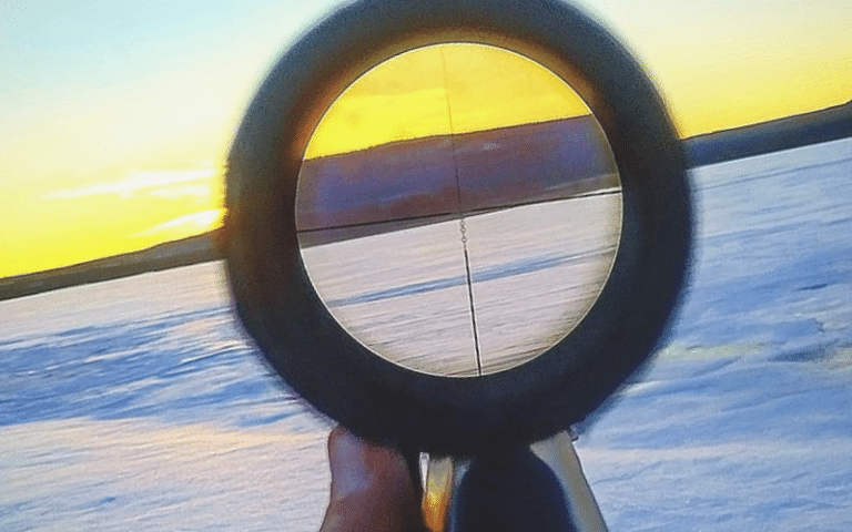 Types of Scope Reticles: What Are The Different Types?