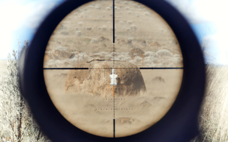 LPVO Reticle: Which To Choose? [in 2024]