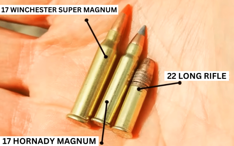 Can You Shoot 17 HMR in a 17 WSM Rifle [Surprising]