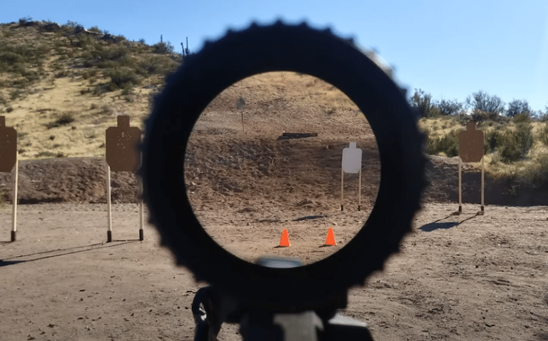 Best LPVO: The Top Low Power Variable Optics [Field Tested]