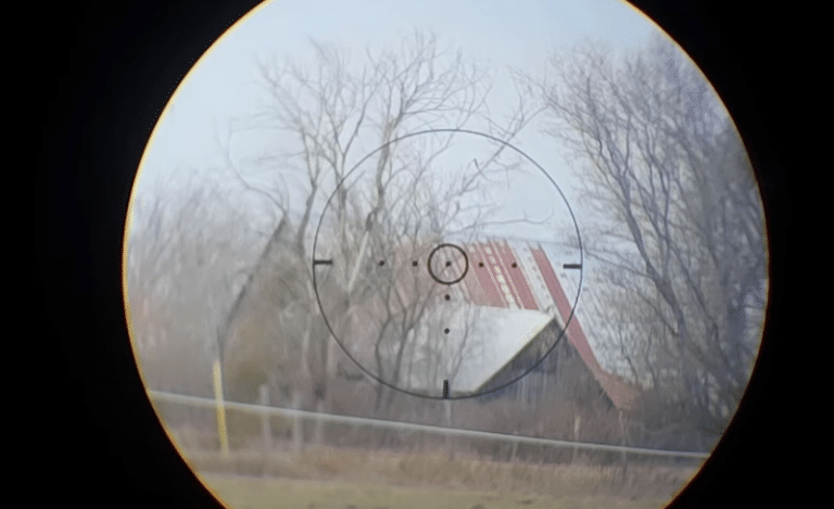 Best LPVO: The Top Low Power Variable Optics [Field Tested]