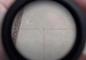 Best LPVO: The Top Low Power Variable Optics [Field Tested]
