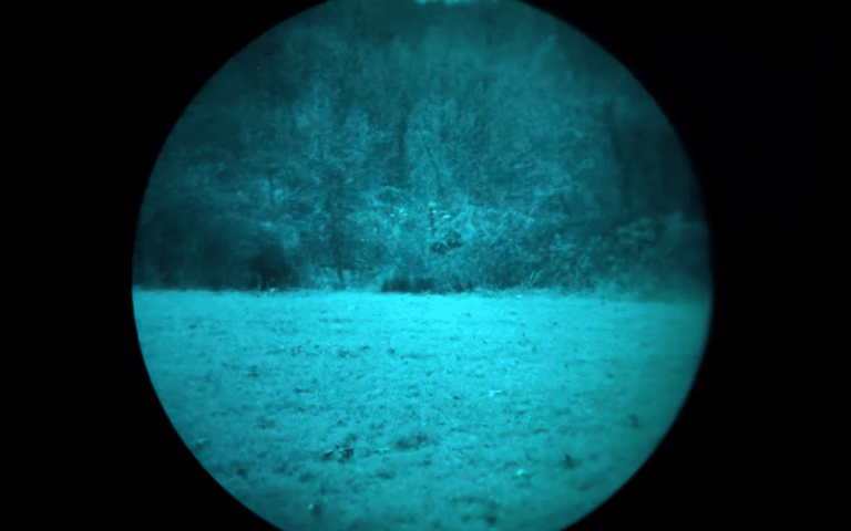 Which Type of Sight Is Most Accurate and Gives the Best View of the Target