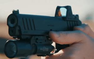Types of Gun Sights: The Most Common & Right One For You