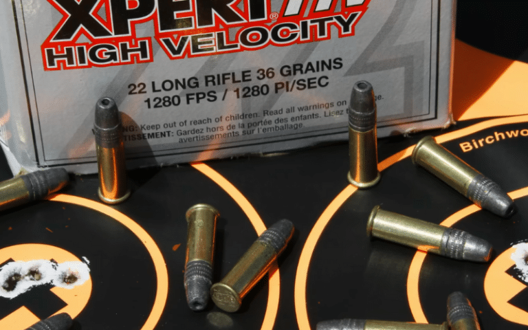 How Far Can a 22 Shoot Before Dropping [Expert Opinion]