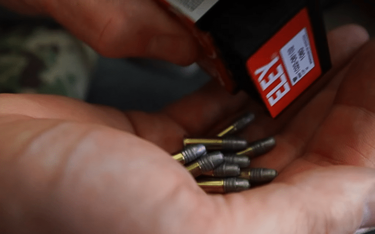 How Far Can a 22 Shoot Before Dropping [Expert Opinion]