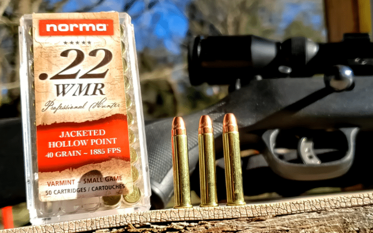 How Far Can a 22 Shoot Before Dropping [Expert Opinion]