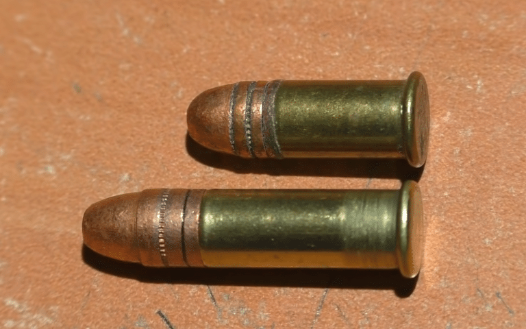 How Far Can a 22 Shoot Before Dropping [Expert Opinion]