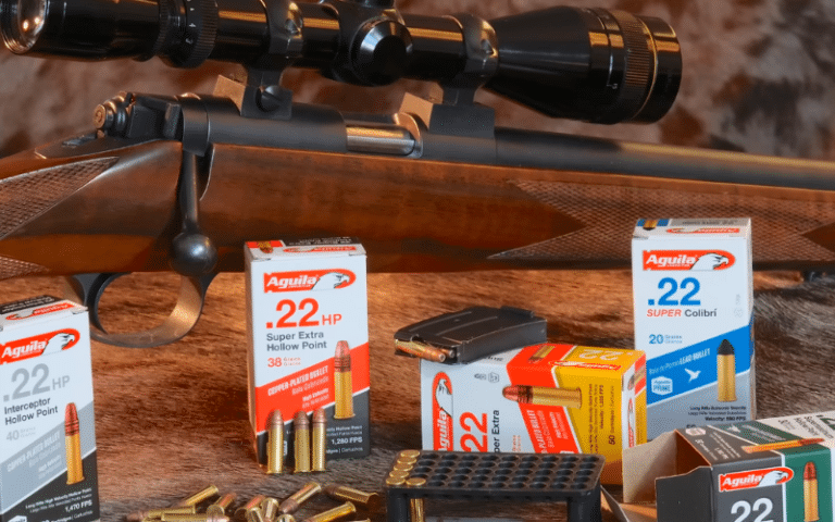 How Far Can a 22 Shoot Before Dropping [Expert Opinion]