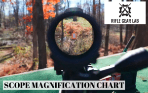 Scope Magnification Chart: How Much Do You Need?