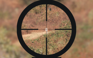 Scope Magnification Chart: How Much Do You Need?