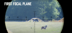 FFP vs SFP For Hunting: Which Is Better [Expert Opinion]